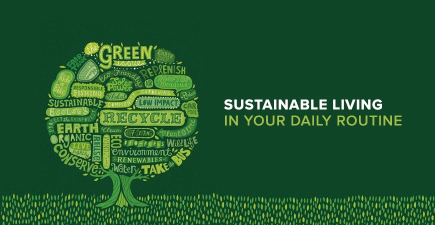 How to Implement Sustainable Living Into Your Daily Routine
